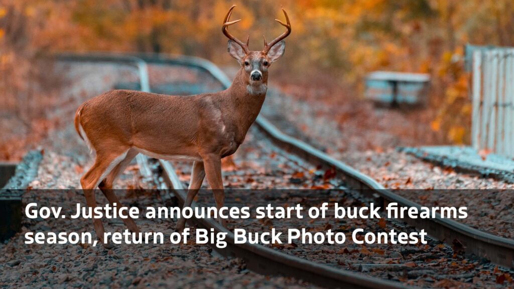 Gov. Justice announces start of buck firearms season, return of Big ...